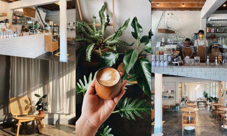 25 ที่เที่ยวระนอง 2022 มา เที่ยวระนอง รับรอง ประทับใจ หรอยจัง ระนอง