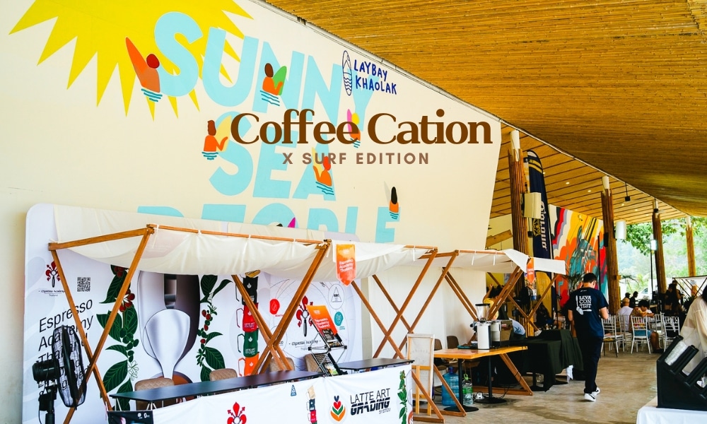 Coffee Cation X Surf Edition เขาหลัก พังงา - หรอยจัง พังงา